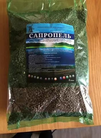 Sapropel：它是什麼，它看起來像什麼，如何用自己的雙手獲得它，應用程序，評論 8115_2