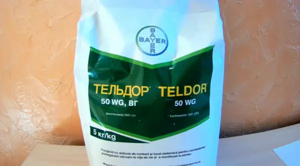 Teldor Fungicide: lati awọn arun wo, awọn oṣuwọn agbara fun awọn strawberries, eso ajara, awọn peaches 8116_1