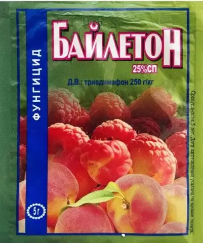 Фунгицид Телдор: од какви болести, стапки на потрошувачка за јагоди, грозје, праски 8116_4