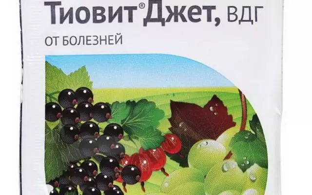 A Tiovit Jet gyógyszer: használati utasítás szőlő, eper, rózsa, uborka számára 8117_1