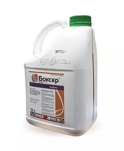 Herbicide Boxer: дастур барои истифода дар картошка, пиёз, сабзӣ, сирпиёз 8122_2