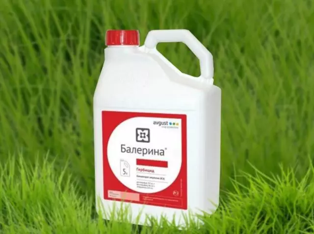 Herbicide Ballerina: улаан буудай, эрдэнэ шиш, арвай хэрэглэх заавар, хэрэглээний түвшин 8123_1