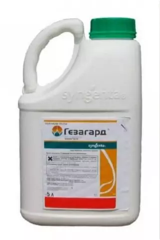 Herbicide Gezagard: ਗਾਜਰ, ਆਲੂ, ਖਪਤ ਦੀ ਦਰ, ਖੁਰਾਕ, ਸਮੀਖਿਆਵਾਂ ਤੇ ਵਰਤੋਂ ਲਈ ਨਿਰਦੇਸ਼ 8138_1