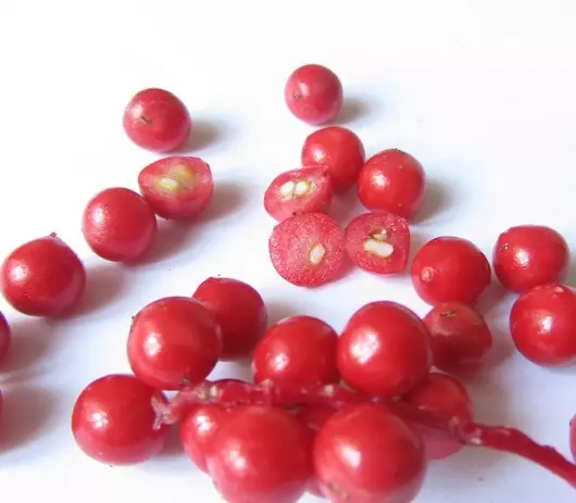 Schisandra chinensis: akụrụngwa ọgwụ na contraindications, ngwa 8430_10