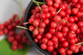 Schisandra chinensis: propiedades medicinales y contraindicaciones, aplicación. 8430_7