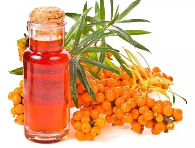 Sea buckthorn lauf: gagnlegir eiginleikar og frábendingar 8440_8