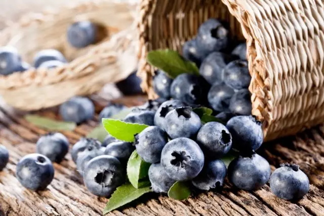 Yuav ua li cas sai txheeb tawm blueberries, tev tawm nplooj 8481_1