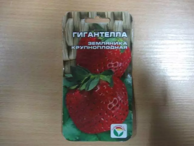 Strawberry Gigantella: barietate deskribapena, argazkiak, iritziak 8513_4