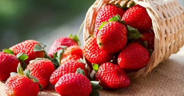 Strawberry Mashenka: mô tả đa dạng, ảnh, đánh giá 8547_4