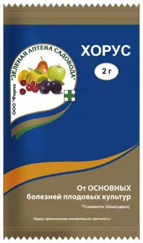 Шэрая гнілата на клубніцы: прыкметы, як выглядае, чым апрацаваць, прэпараты, сродкі, меры барацьбы, як зберагчы, абарона, фота 8609_21