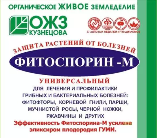 Сиво гниене на ягоди: признаци, как изглежда, как да се лекува, препарати, средства, мерки за контрол, как да се защити, защита, снимка 8609_7