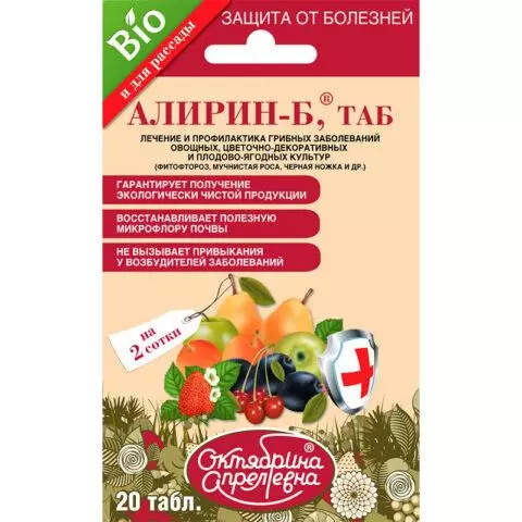 Шэрая гнілата на клубніцы: прыкметы, як выглядае, чым апрацаваць, прэпараты, сродкі, меры барацьбы, як зберагчы, абарона, фота 8609_8