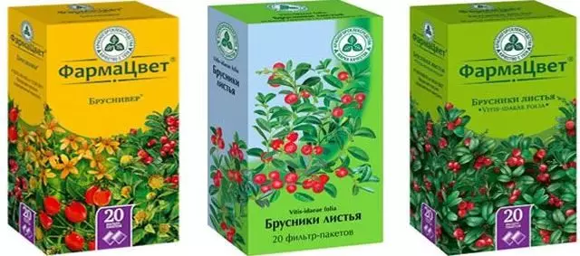 Lingonberry yarpaqları: müalicəvi xüsusiyyətləri və əks göstərişləri 8636_36