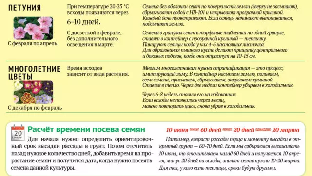 Лунарен календар на цвеќарници за декември 2019 година: затворени растенија и цвеќиња 8663_1