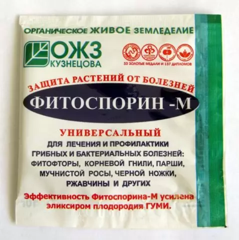 Пион Канзас (Канзас): сүрөттөр, сын -пикирлер, отургузуу жана кам көрүү 8674_14