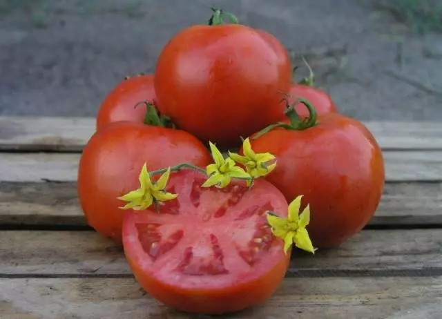 Tomato Mahitos: karakterizaĵoj kaj priskribo de la vario, recenzoj 867_2