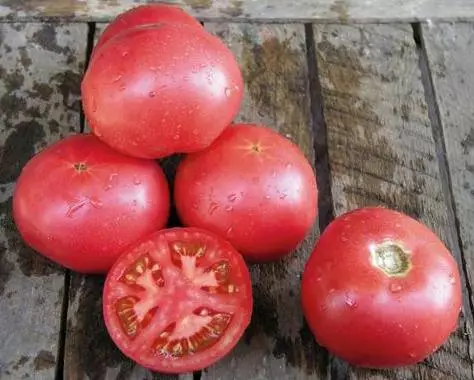 Tomato Tarpan F1: priskribo, recenzoj 870_1