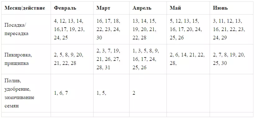 Petuuniate istutuskalender seemikute jaoks 2021 8732_2