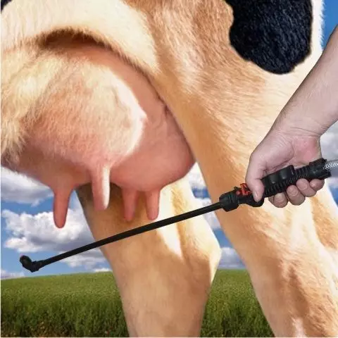 هڪ cowئون ۾ Mastitis: علامات ۽ علاج ، دوائون ، روڪ 8844_3