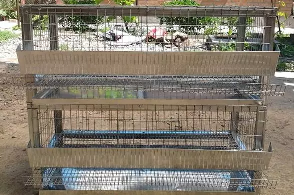 DIY quail cage: step by step instructions 8875_4