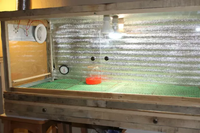 DIY brooder for quail + drawings, video 8941_1