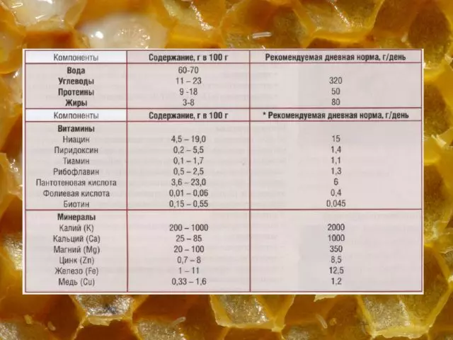 Royal jelly: unsa kini gikan, mga kaayohan ug kadaot, paggamit, mga contraindication 9009_3