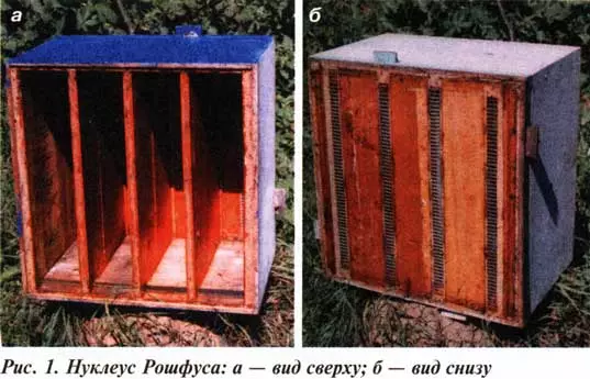 Nucleus: wat it is, wearde yn beekeeping, meitsje foar bijen mei jo eigen hannen, tekeningen 9020_4