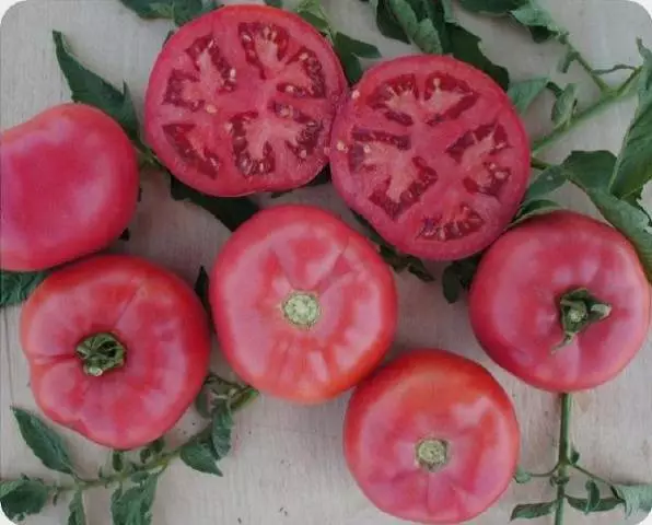 Tomate Pink Miracle: barietatearen ezaugarriak eta deskribapena 902_1