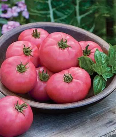 Tomato Pink Miracle: vlastnosti a popis odrůdy 902_3