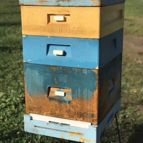 Beehives Nizhegorodets: PPU کان ، beekeepers جو جائزو 9063_1