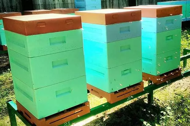 Beehives Nizhegorodets: PPU کان ، beekeepers جو جائزو 9063_2