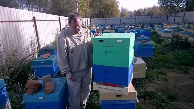 Beehives Nizhegorodets：来自 PPU，养蜂人的评论 9063_4