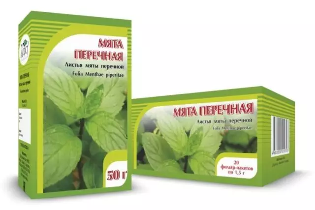 Cold mint (Bahasa Inggris): penanaman dan perawatan, fitur budidaya 9074_4