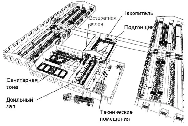 Доилна машина за крави: съвременни технологии, как да го направите сами 9080_3