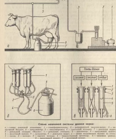 Melkmachine voor koeien: moderne technologie, hoe doe je het zelf 9080_8