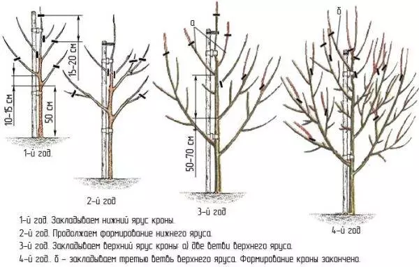 Нок Лада: тавсифи гуногун, аксҳо, баррасиҳо 923_13