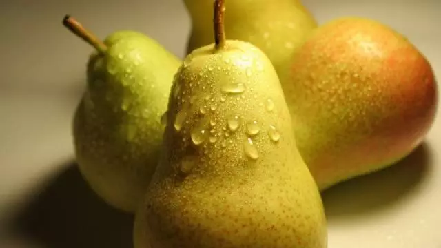 Pear Lada: barietate deskribapena, argazkiak, iritziak 923_14