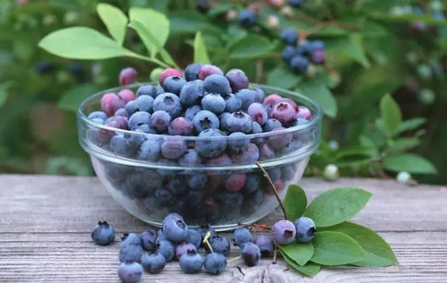 Blueberries дар афшураи худ: чӣ гуна бо шакар ва бе шак пухтан, дорухат барои зимистон 9291_11