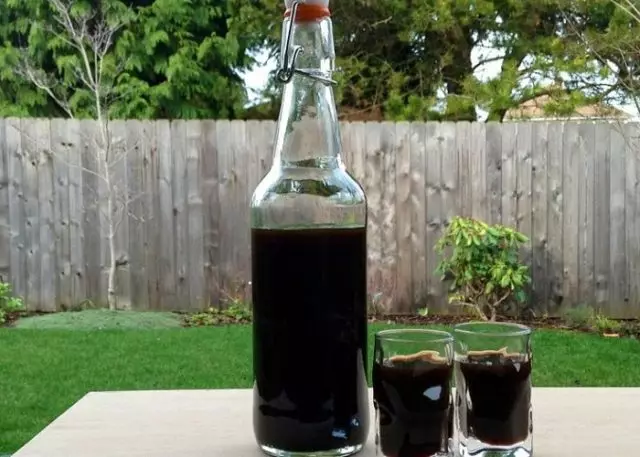 Prune tincture: resep pikeun vodka, alkohol, bulan moonshine 9399_17