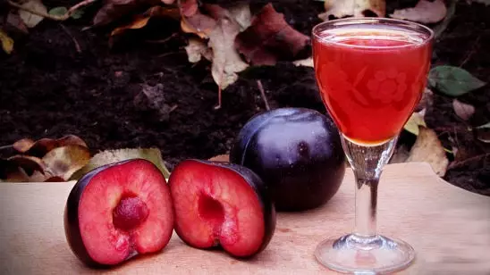 Prune tincture: resep pikeun vodka, alkohol, bulan moonshine 9399_6