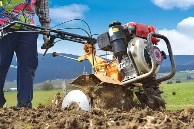 Membajak dengan traktor berjalan di belakang: kebun sayur, tanah, plot, tanah perawan, pengaturan, kedalaman pembajakan