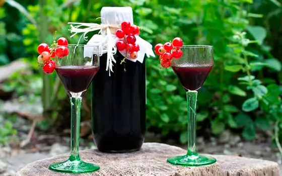 Tú currant pupa pẹlu vodka: awọn ilana ti o rọrun ni ile 9421_1