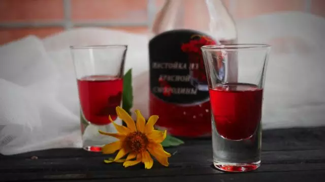 Rote Johannisbeere mit Wodka gießen: einfache Rezepte zu Hause 9421_4