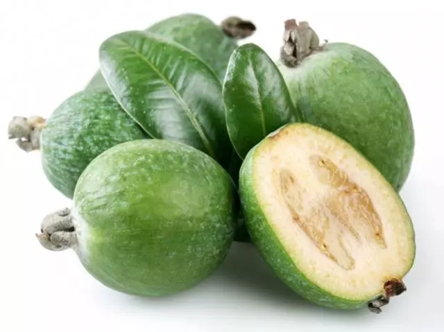 minuman keras Feijoa 9444_1