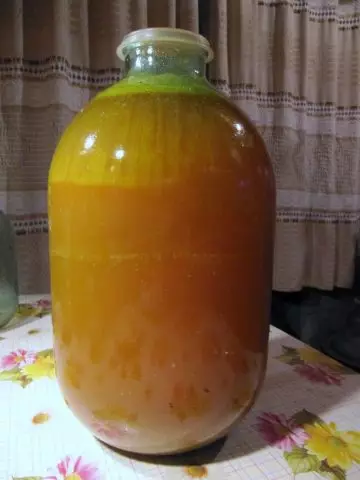 Chiaro di luna di zucca: ricette per la tintura a casa, sulla vodka, sull'alcol, sui semi di zucca 9446_2