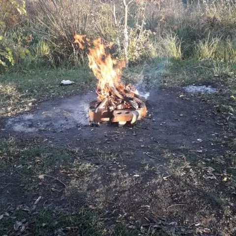 Kako iskopati vrt lopatom: do koje dubine, djevičansko tlo, zaraslo zemljište, povrtnjak, gredice, smrznuto tlo, je li potrebno kopati u jesen 95_15