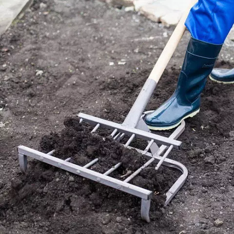 Ako vykopať záhradu lopatou: do akej hĺbky, panenskej pôdy, zarasteného pozemku, zeleninovej záhrady, postelí, zamrznutej zeme, je potrebné kopať na jeseň 95_4