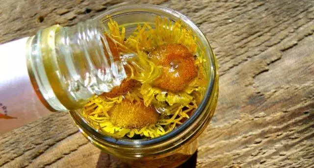 Elecampane: sifat obat lan aplikasi, resep, apa sing bisa mbantu penyakit 960_13