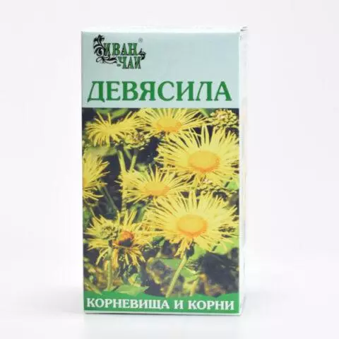 Дзівасіл: лячэбныя ўласцівасці і прымяненне, рэцэпты, ад чаго дапамагае, ад якіх хвароб 960_18