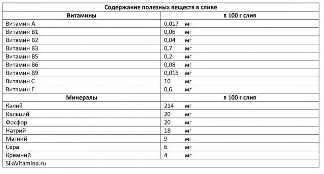 Kaip užšaldyti slyvas žiemai 9663_4